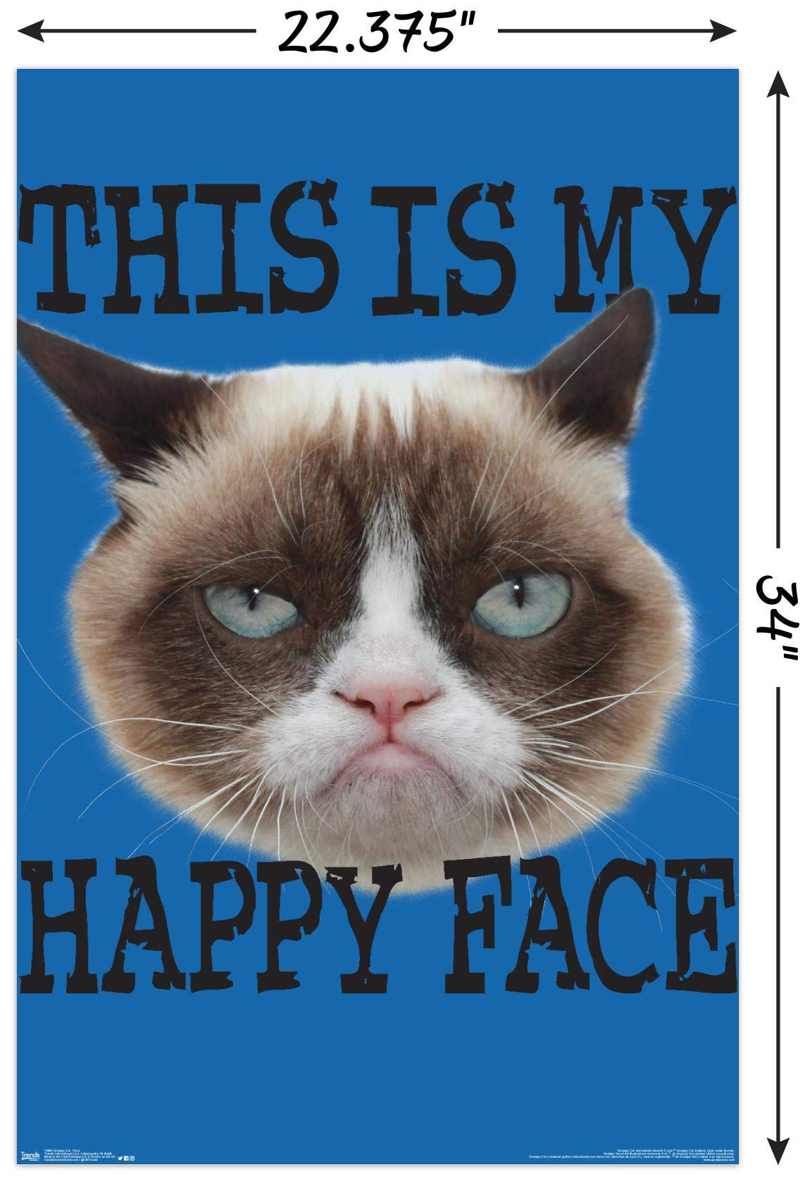Grumpy Cat Happy Monday