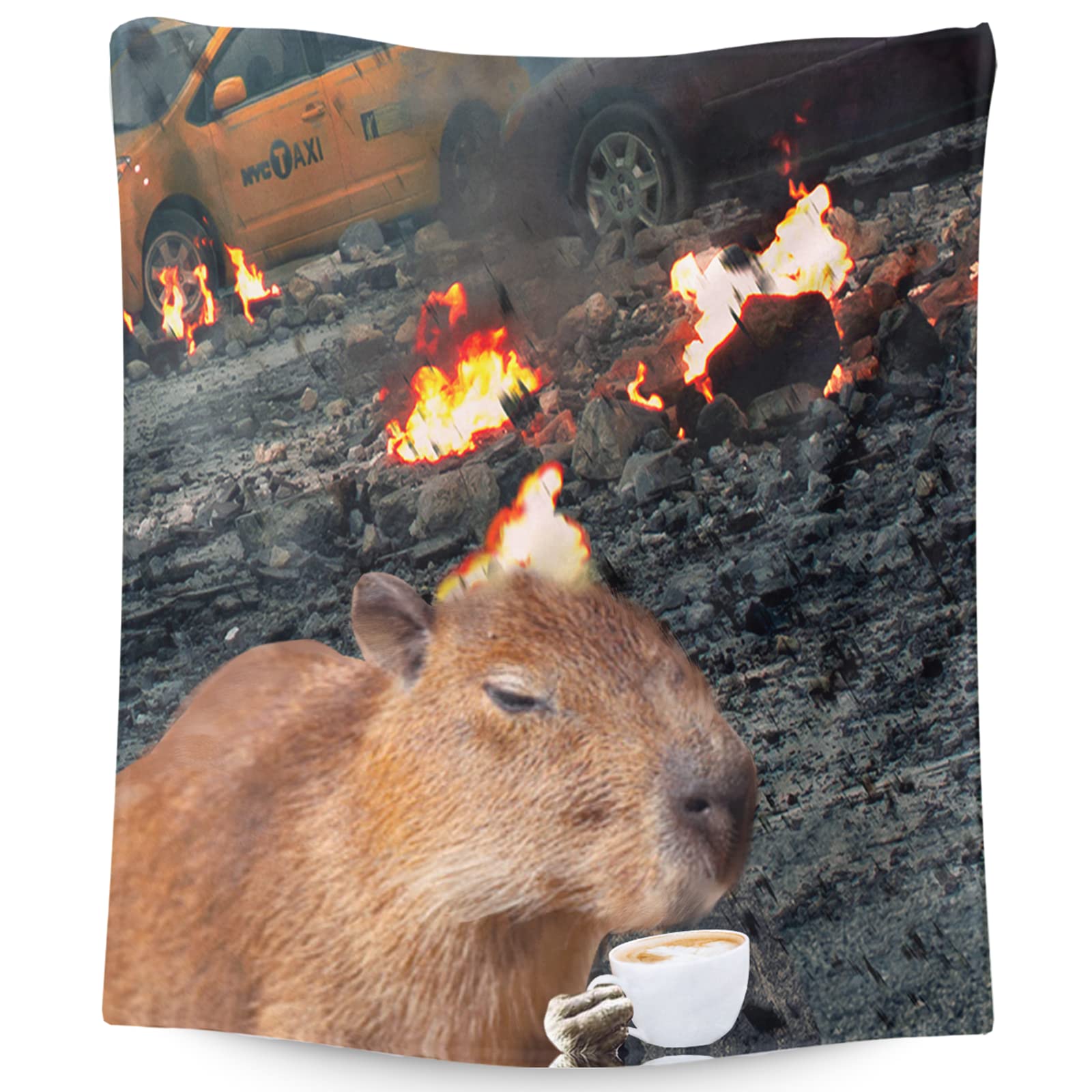 Amazon.com: Capybara Blanket Gifts - 50x40 Inches Small Blanket for ...