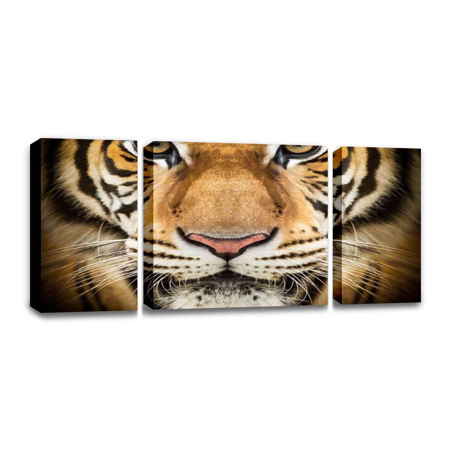 Abstract Tiger Face