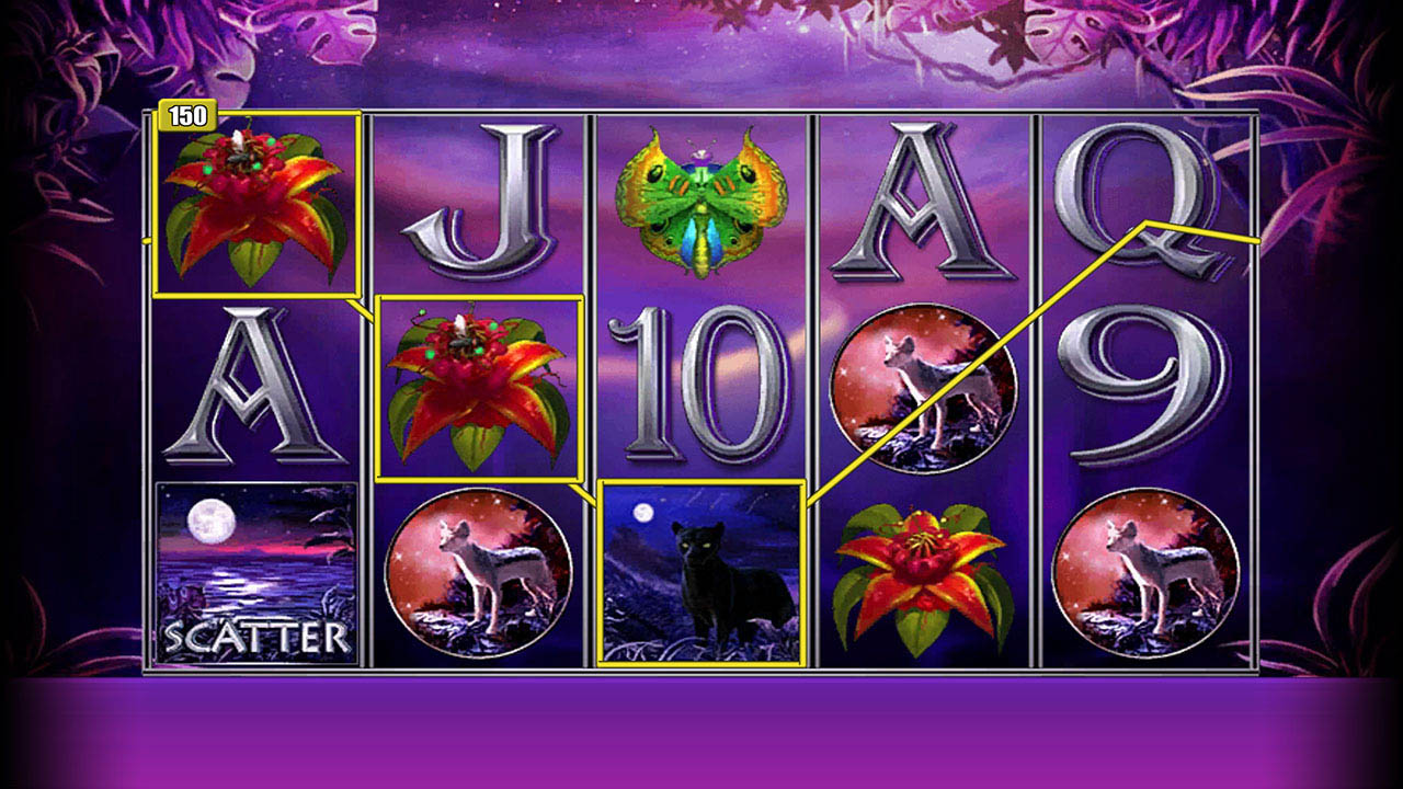 Panther Moon Slot-Amazonアプリストアのアプリ