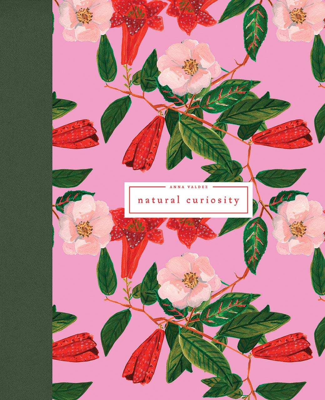 Anna Valdez: Natural Curiosity: Valdez, Anna, Alligood, Chad, Mdivani ...