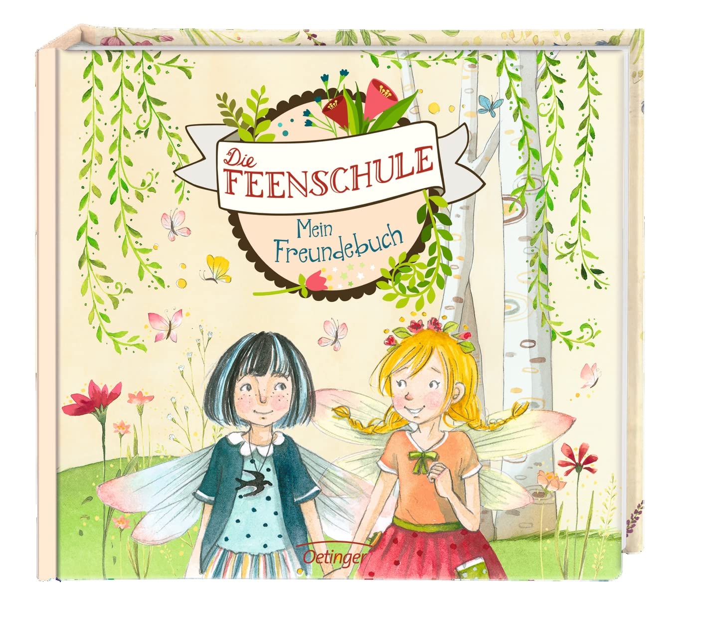 Die Feenschule. Mein Freundebuch : Rose, Barbara, Ishida, Naeko: Amazon ...