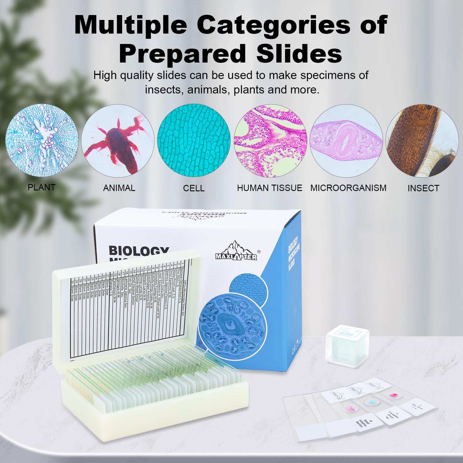Snapklik.com : 30 Microscope Slides And 100 Covers Set For Kids Adults ...