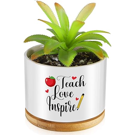Amazon.com : Picsy Teacher Appreciation Gift Flower Pot with 2 Picture ...