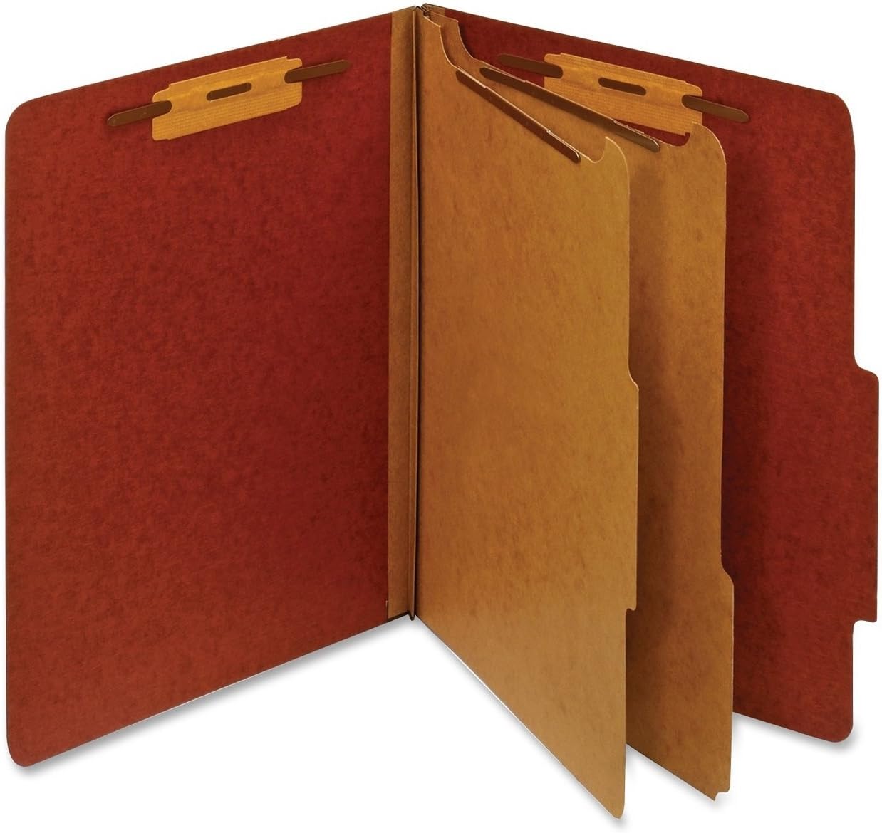 Amazon.com : Globe-Weis/Pendaflex Classification Folder, Letter Size, 2 ...