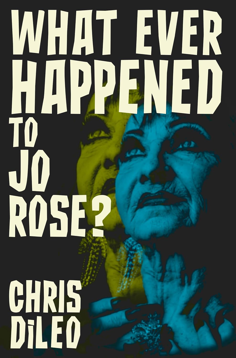 Amazon.com: What Ever Happened to Jo Rose? eBook : DiLeo, Chris: Books