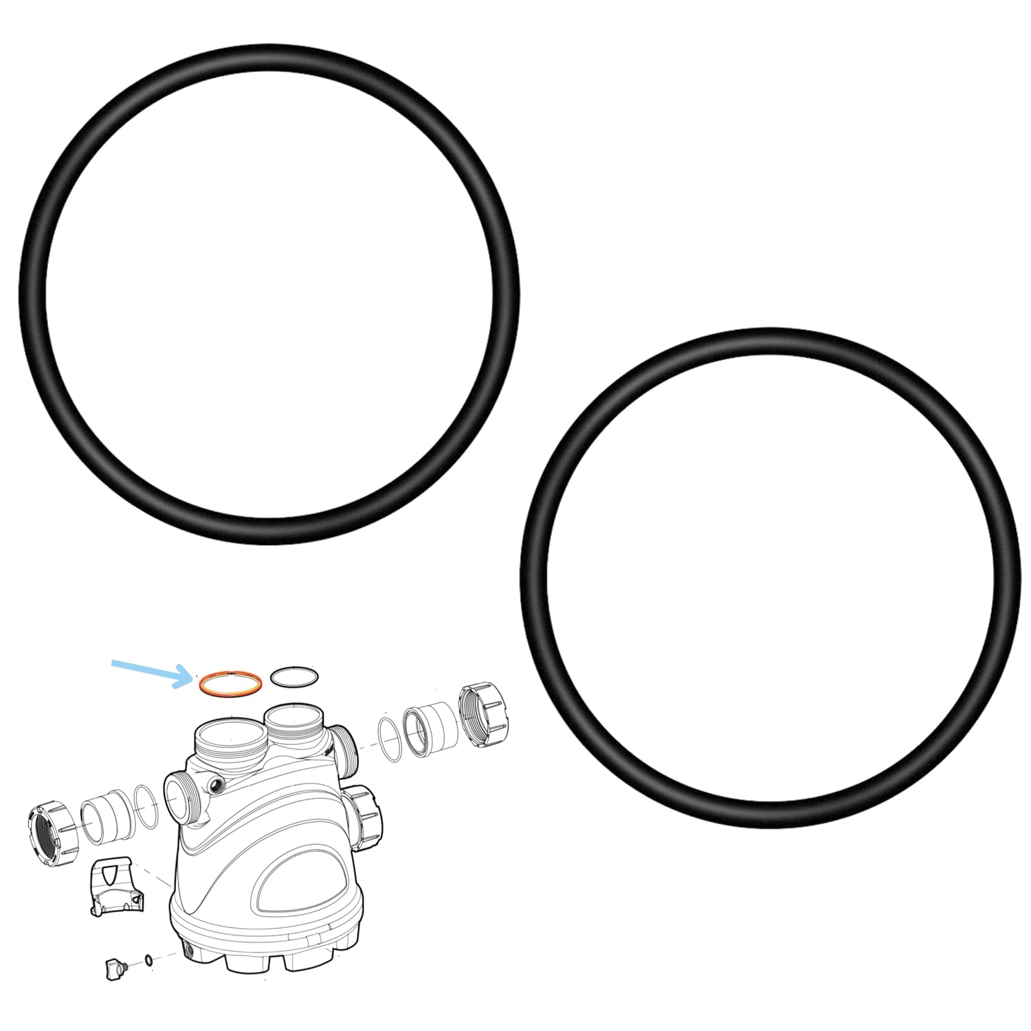 Amazon.com: R0586300 Large Collar O-Ring Replacement for Zodiac Nature ...