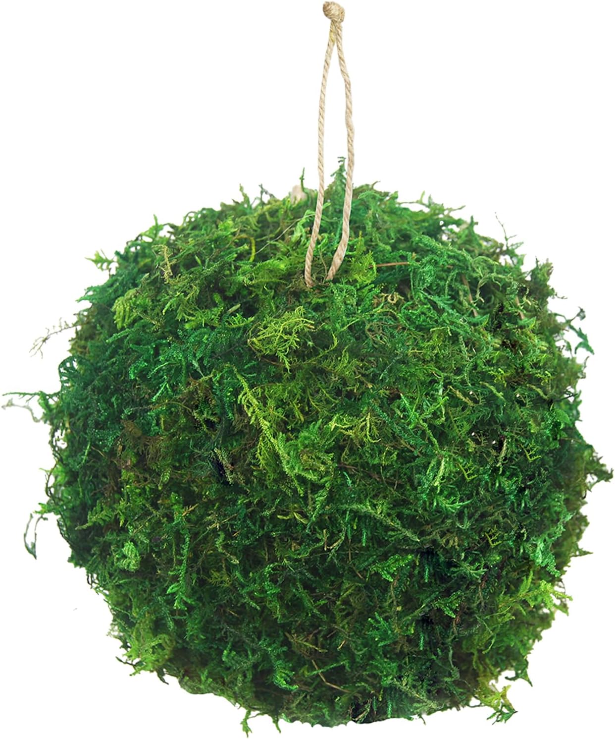 Amazon.com: SuperMoss (25441 Moss Balls Decorative Centerpiece Vase ...