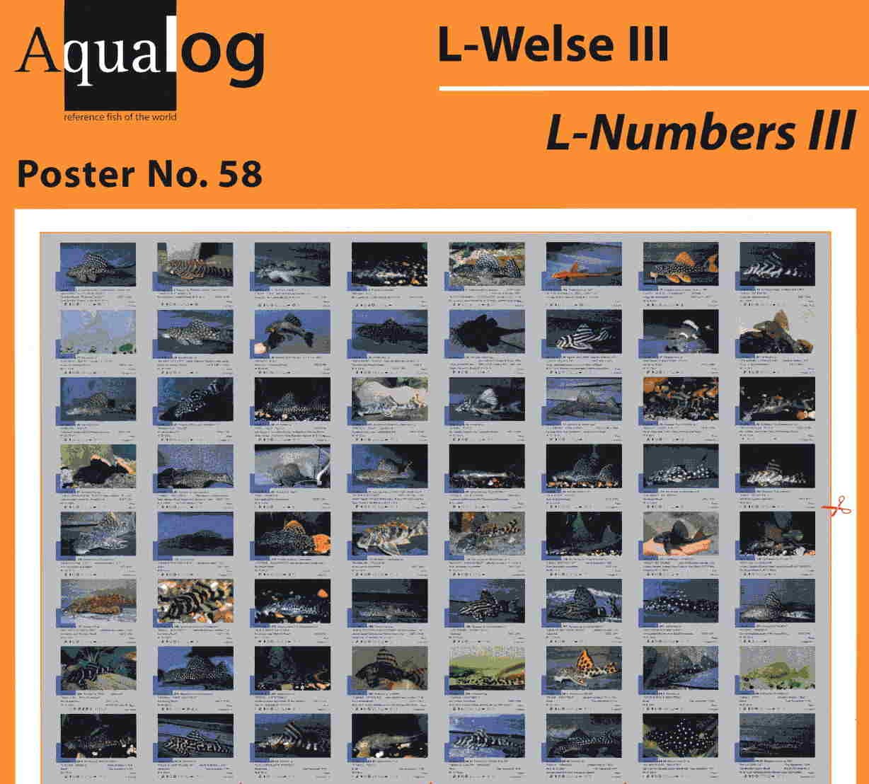 AQUALOG Fold Poster Loricariidae, L-Numbers III: unknown author ...