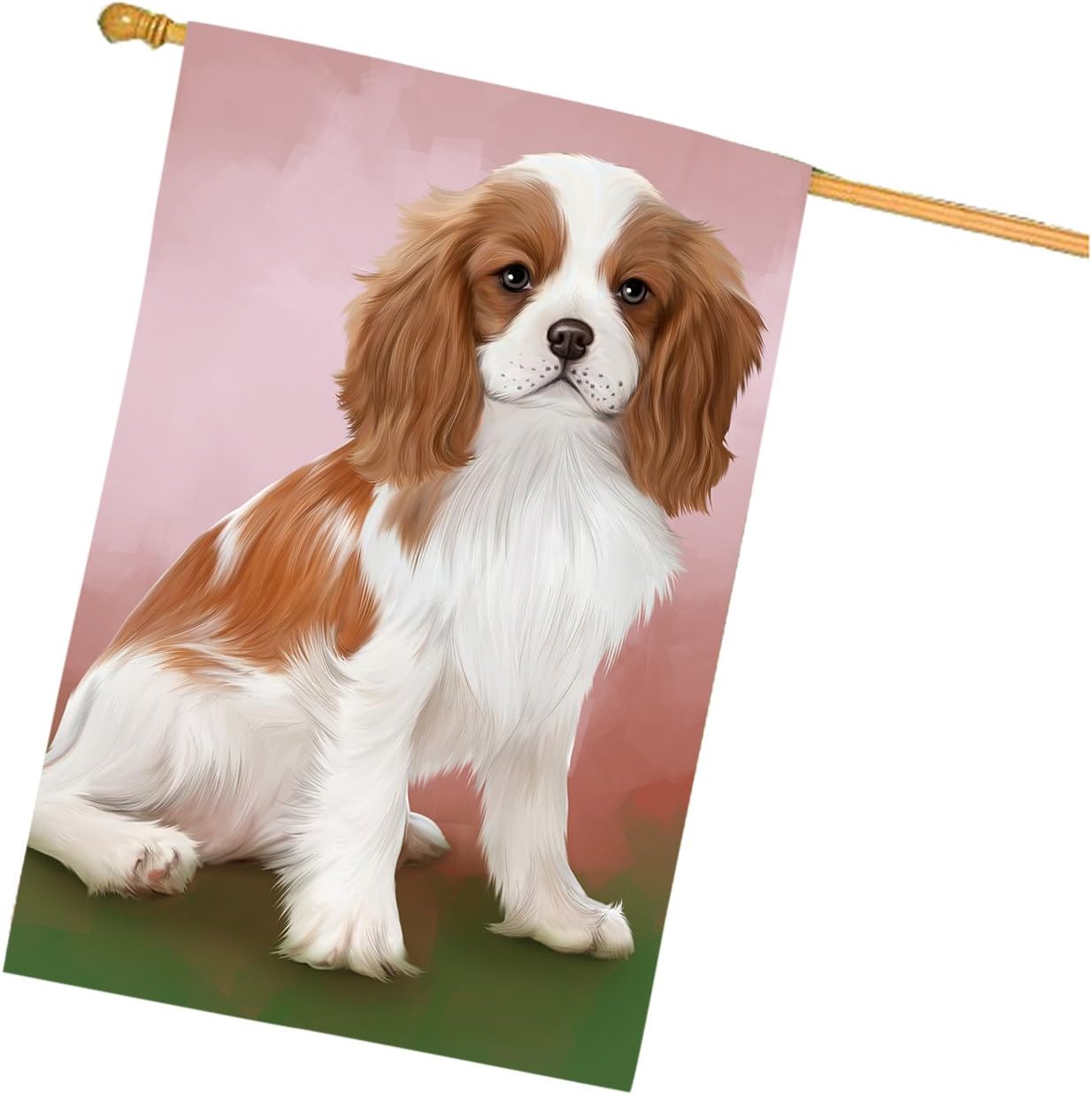 Amazon.com : Cavalier King Charles Spaniels Dog House Flag - Premium ...
