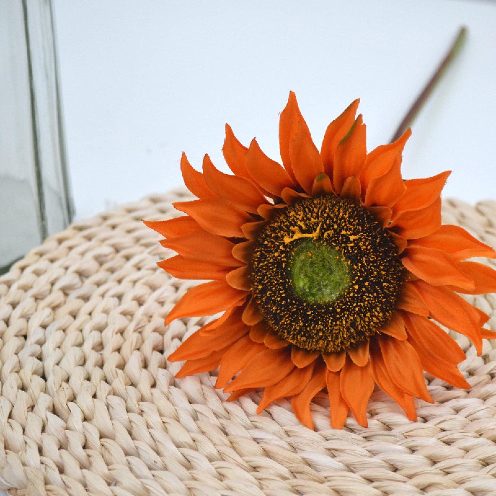 Single Sunflower Photography