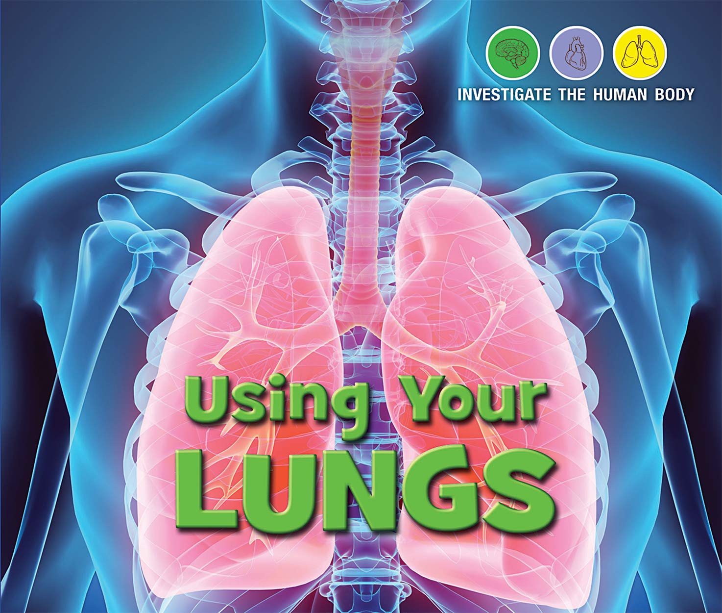 Buy Using Your Lungs (Investigate the Human Body) Book Online at Low ...