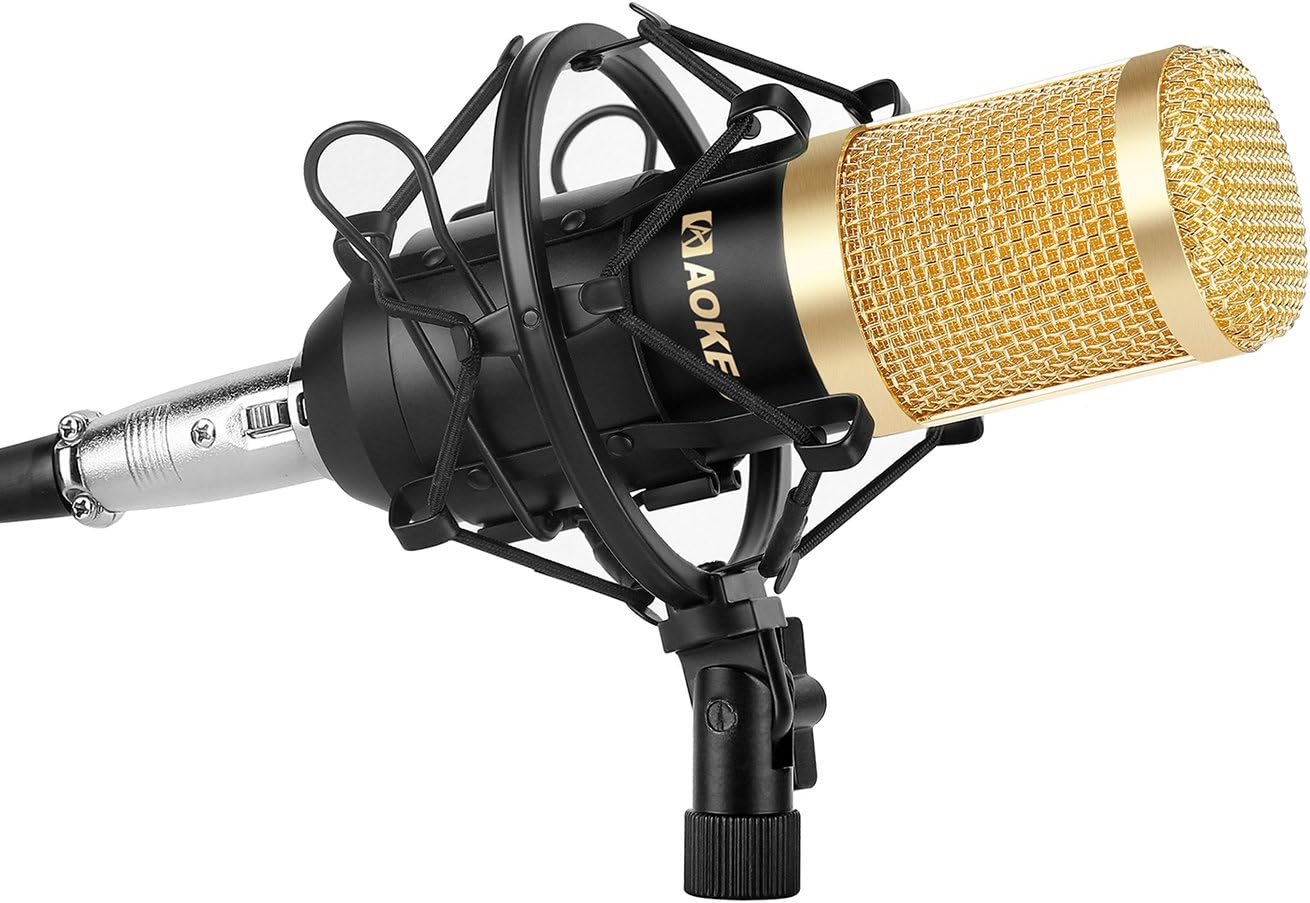 Amazon.com: Aokeo AK-80 Professional Studio Recording Condenser ...