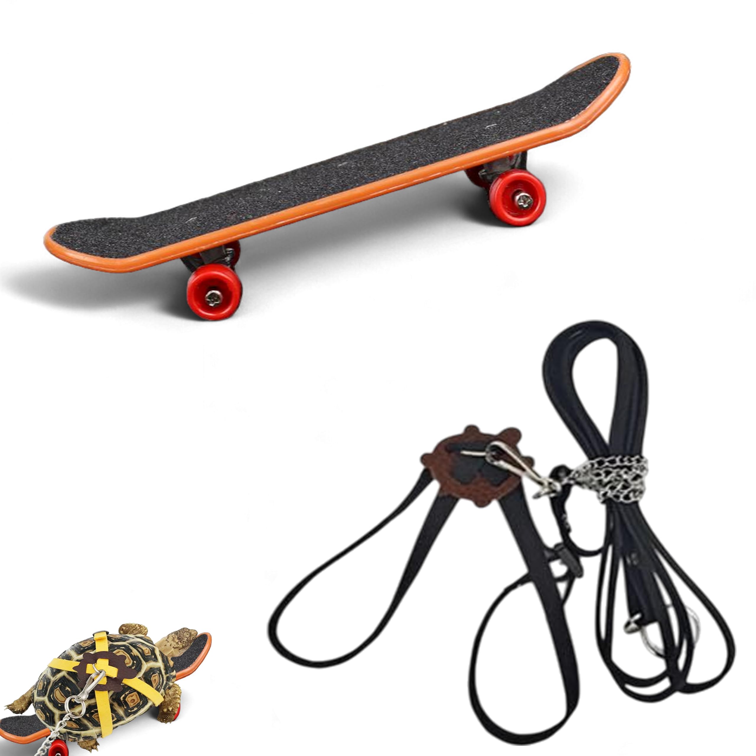 Amazon.com : Tortoise Harness and Leash with Mini Skateboard for Turtle ...