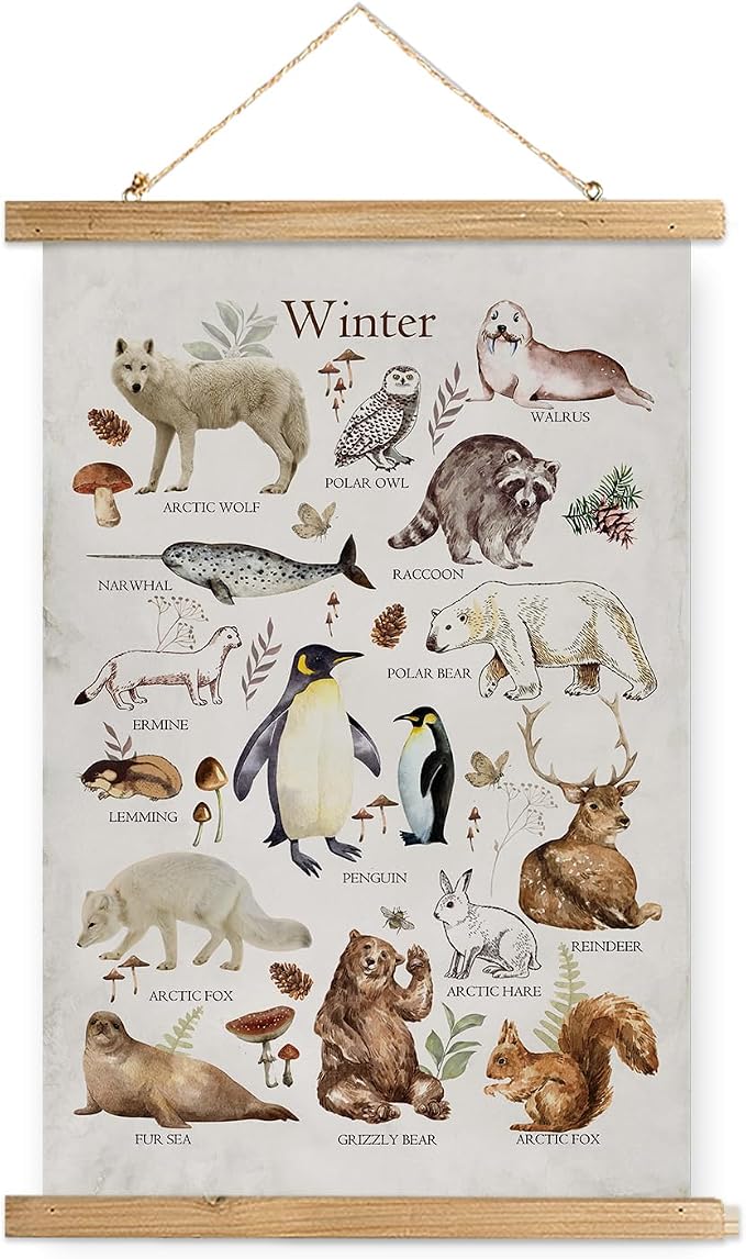 Amazon.com: XIAOAIKA Winter Wildlife Educational Poster - Illustrated ...