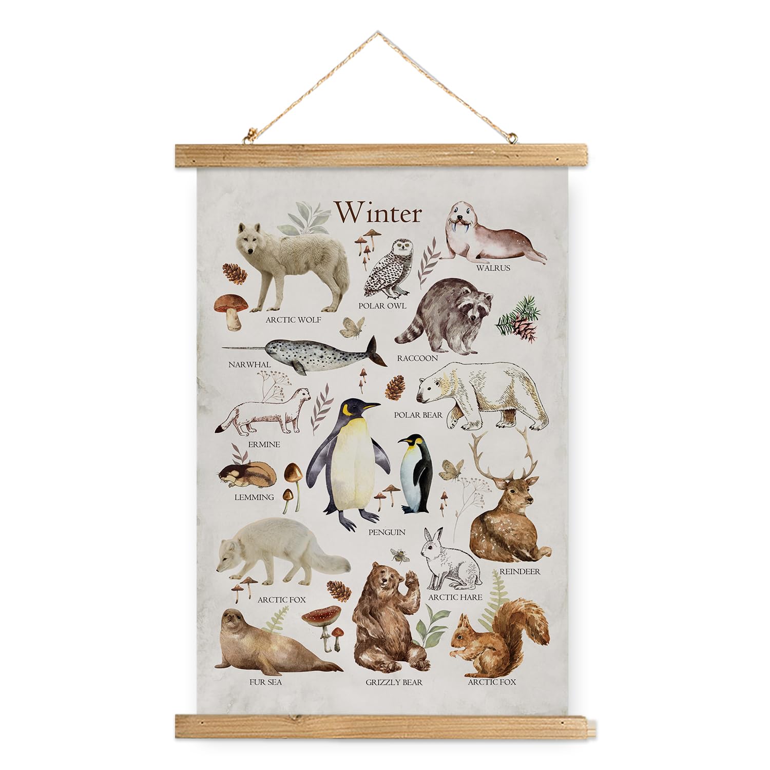 Amazon.com: XIAOAIKA Winter Wildlife Educational Poster - Illustrated ...