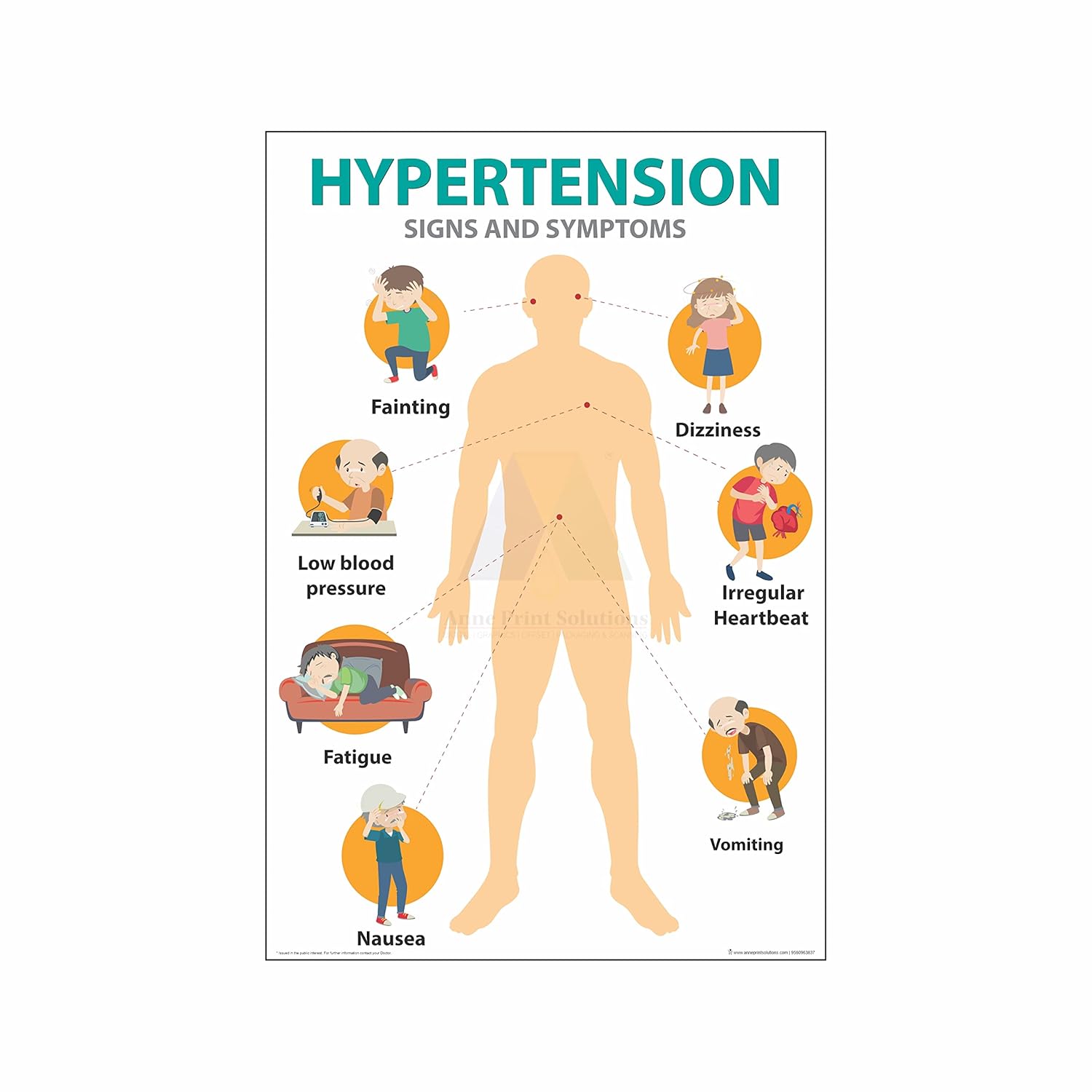 The Anatomy Of Hypertension Chart Poster Laminated The Anatomy Of Hypertension Chart Poster Laminated
