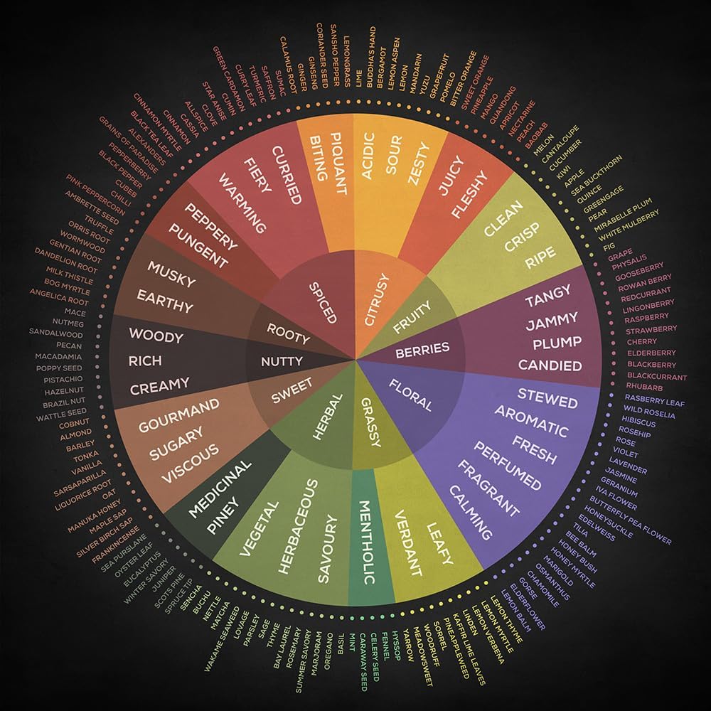 Amazon.com: Gin Flavor Wheel Art Print Aroma Tasting Notes Diagram ...