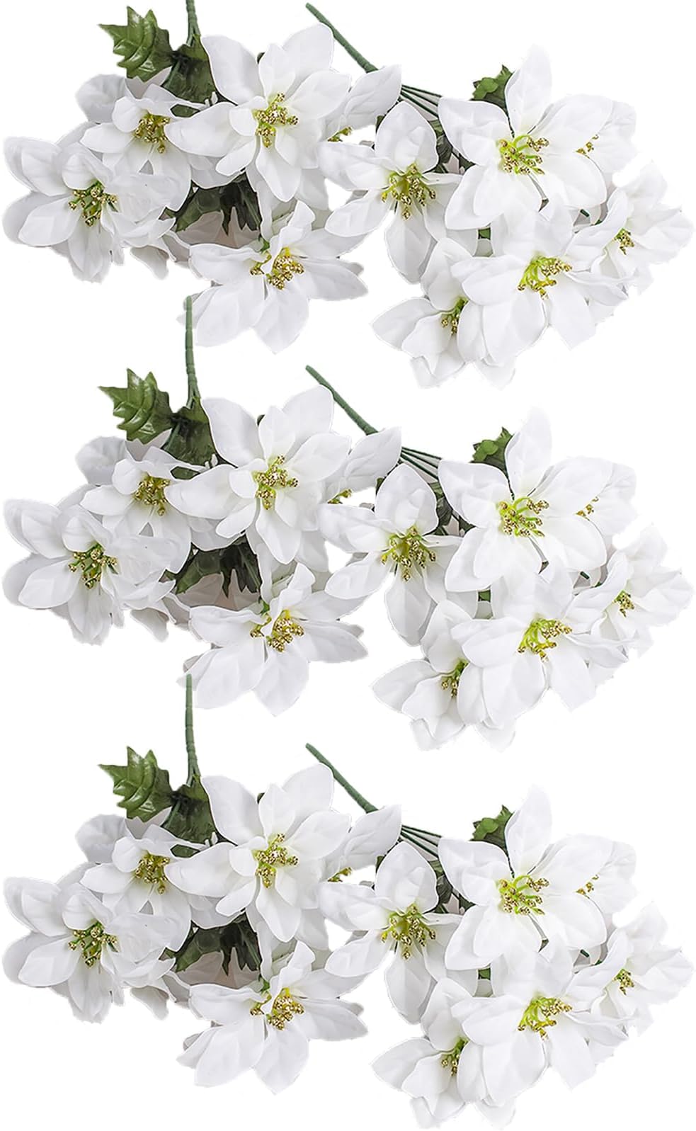 (10") BOX SALE OF 12 WREATH OASIS RINGS FOAM BACKED : Amazon.co.uk ...