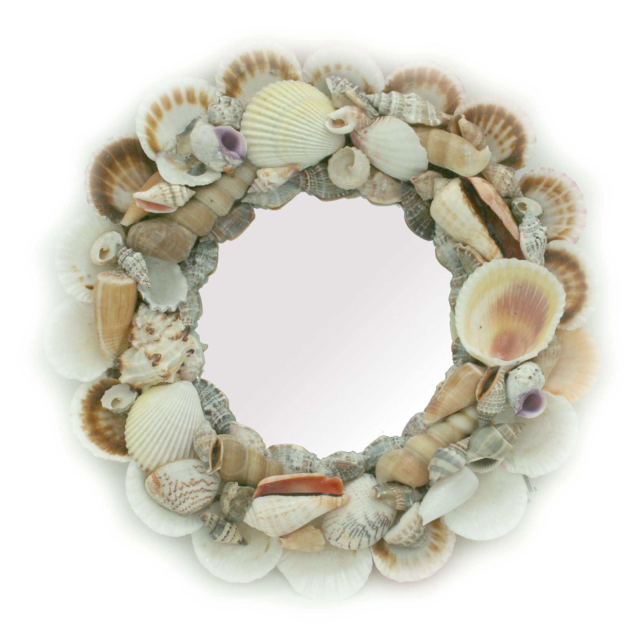 Amazon.com: Contrast Natural Seashell Frame Small Round Wall Mirror 10 ...