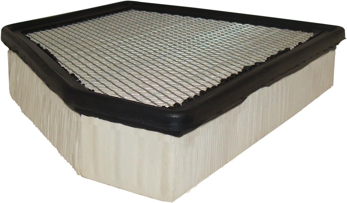 Amazon.com: ACDelco GM Original Equipment A3137C Air Filter : Automotive