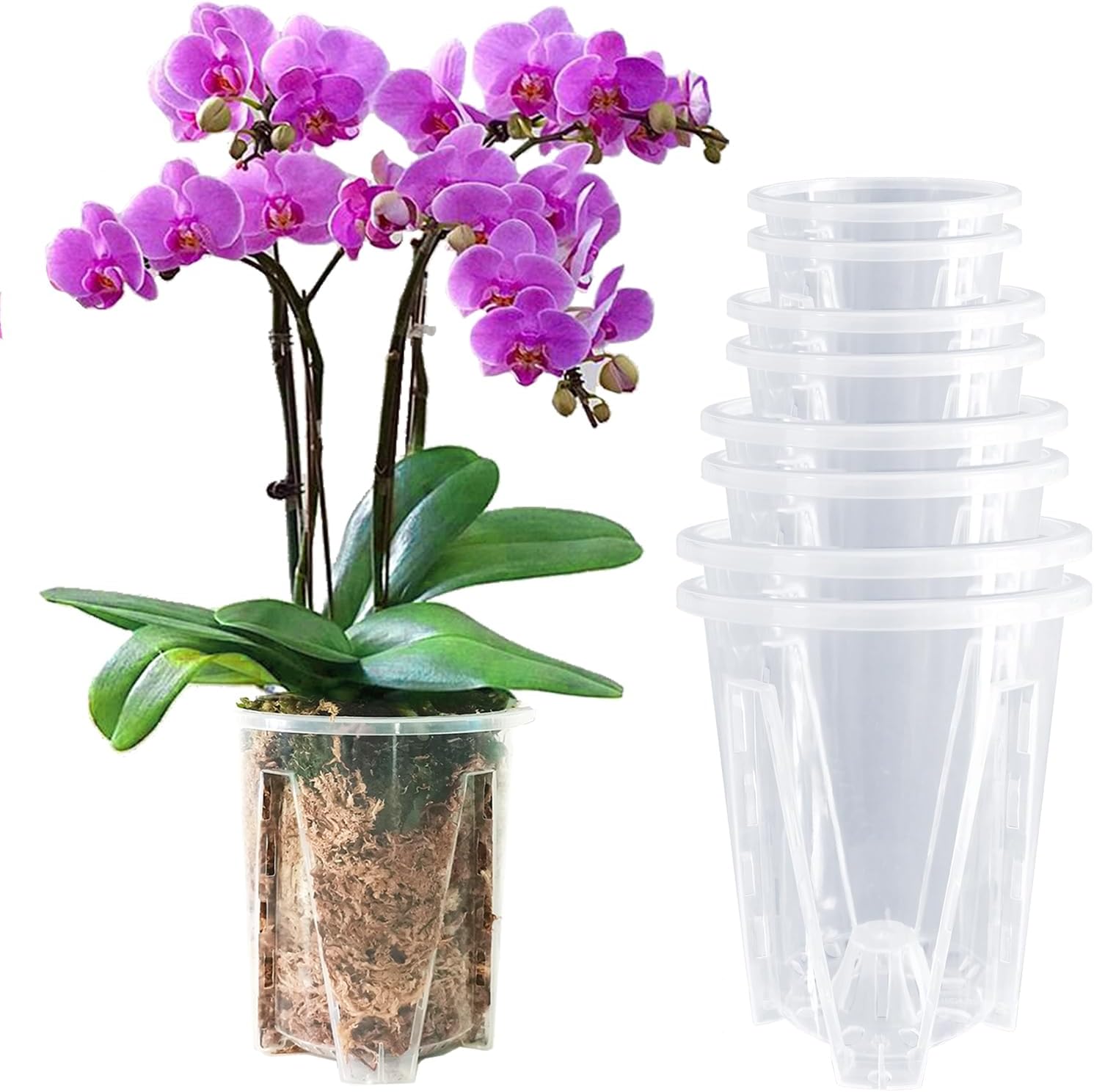 Amazon.com: swegeous 3PCS Clear Acrylic Orchid Pots with Holes | Thick ...