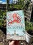 My Friend the Octopus: from the author of Darwin's Dragons: Amazon.co ...