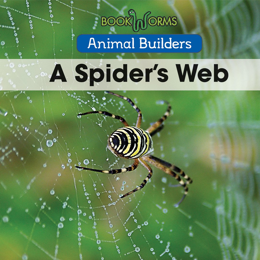 Amazon.com: A Spider's Web (Animal Builders): 9781502620736: De Nijs ...