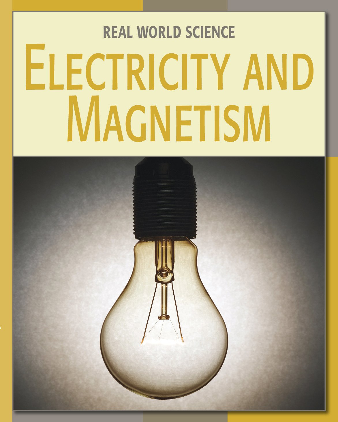 Amazon.com: Electricity and Magnetism (21st Century Skills Library ...