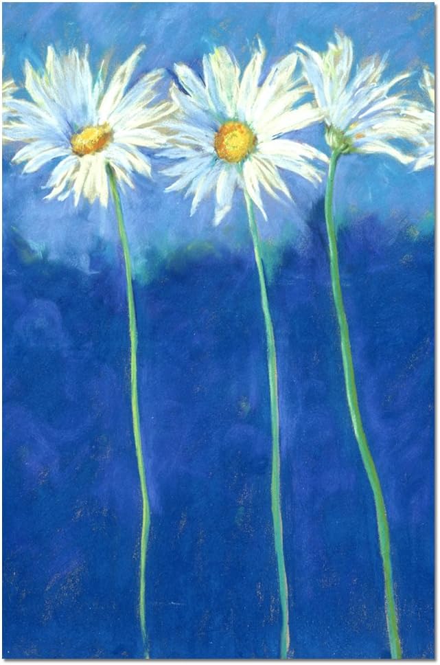 Amazon.com : Tree-Free Greetings 12 Pack All Occasion Notecards,Eco ...