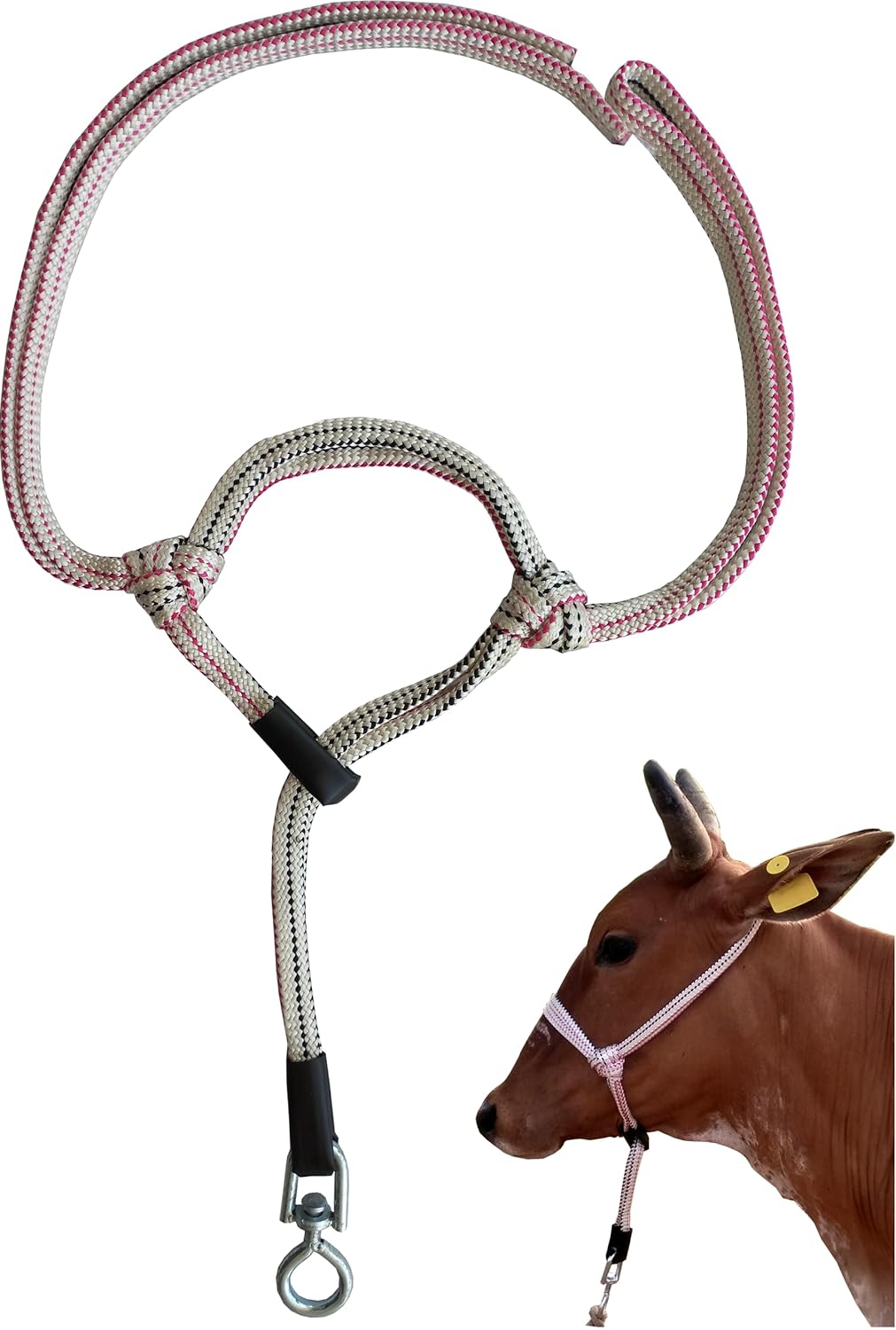 Controlling Cow Halter for All Ages : Amazon.in: Pet Supplies