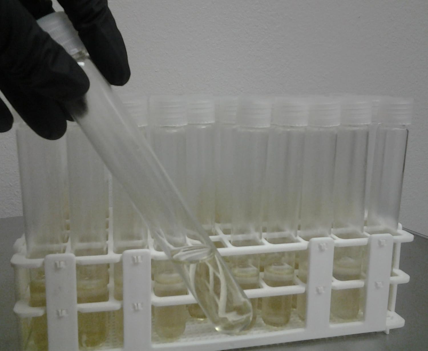 Pure Micro Media-Prepared Nutrient Broth Culture Tubes, 5ml, 30pk ...