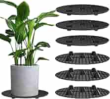 Packs Plant Level Pot Elevator, 12 Inch Plant Riser For, 53% OFF