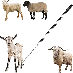 Amazon.com: Removable Goat Catcher Leg Hook, 45# Steel Sheep Hook ...