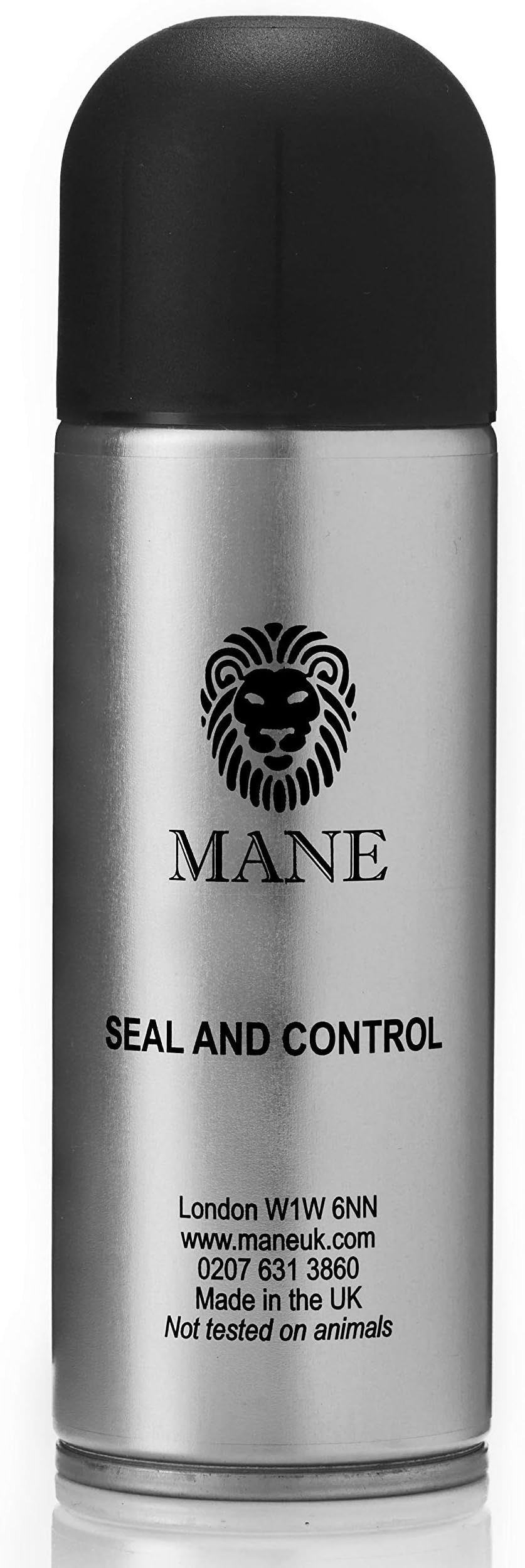 Amazon.com : MANE Hair Thickener with a Seal and Control Finishing ...