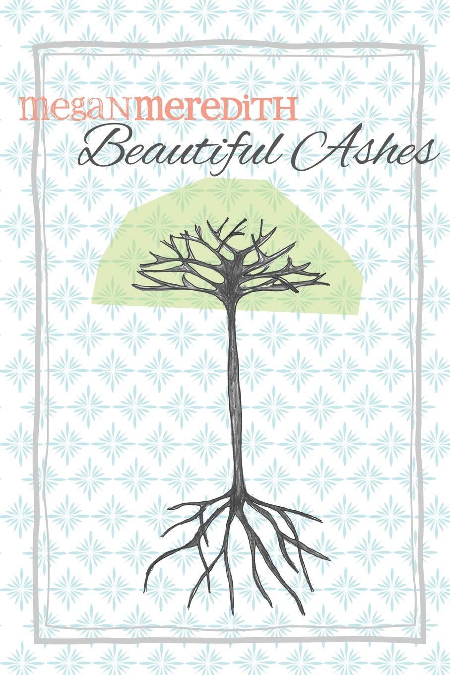 Beautiful Ashes: Meredith, Megan: 9780692711293: Amazon.com: Books