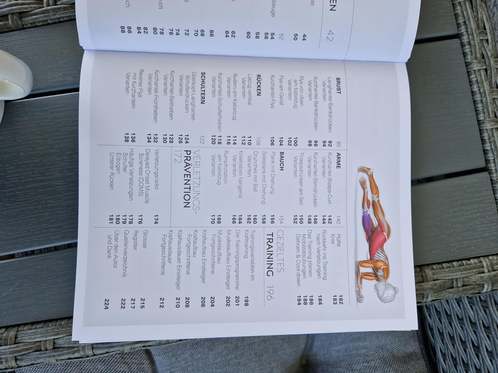 Krafttraining – Die Anatomie verstehen: Mit Übungen zum gezielten ...