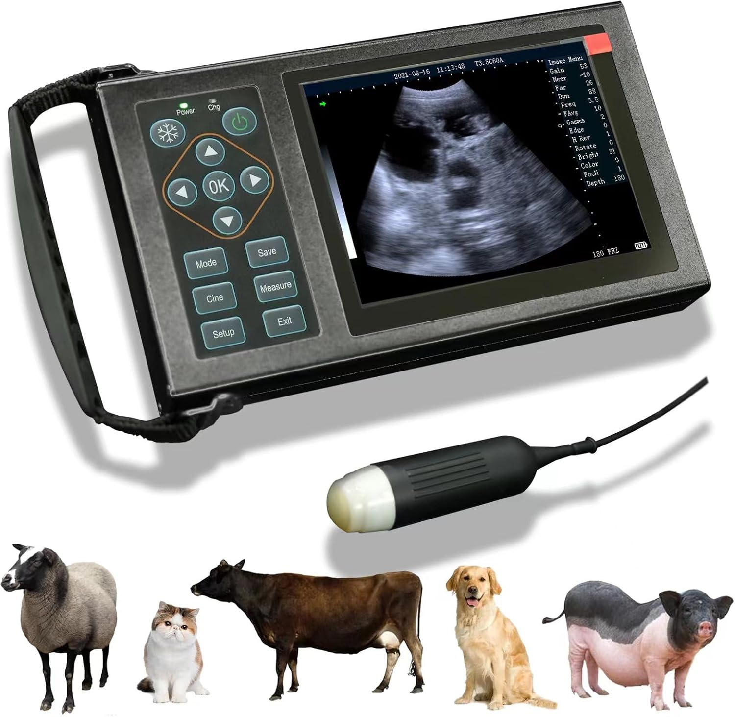 Amazon.com: Portable Ultrasound Machine for Pregnancy, Easy to Use ...