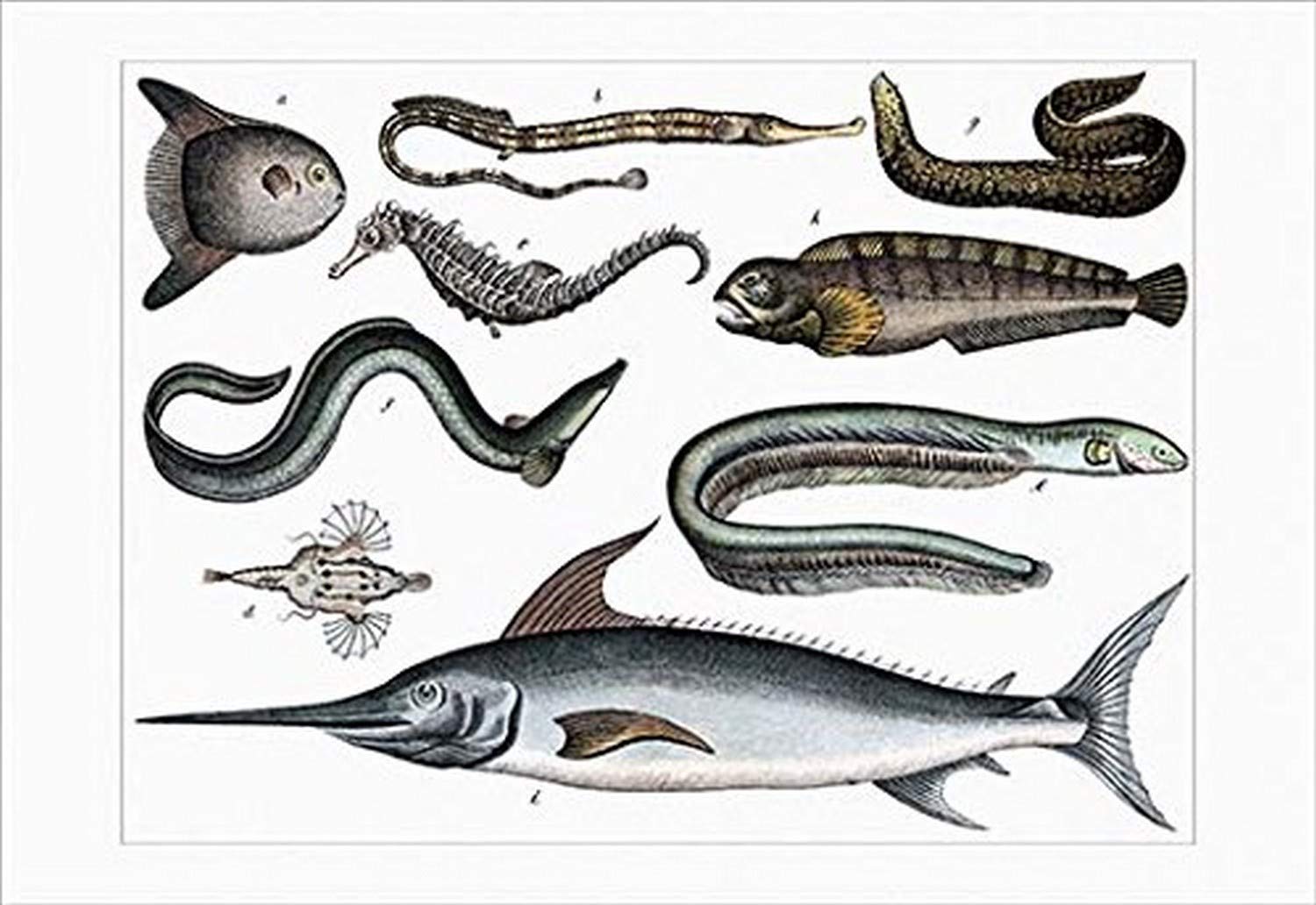 Printable Fish Shapes