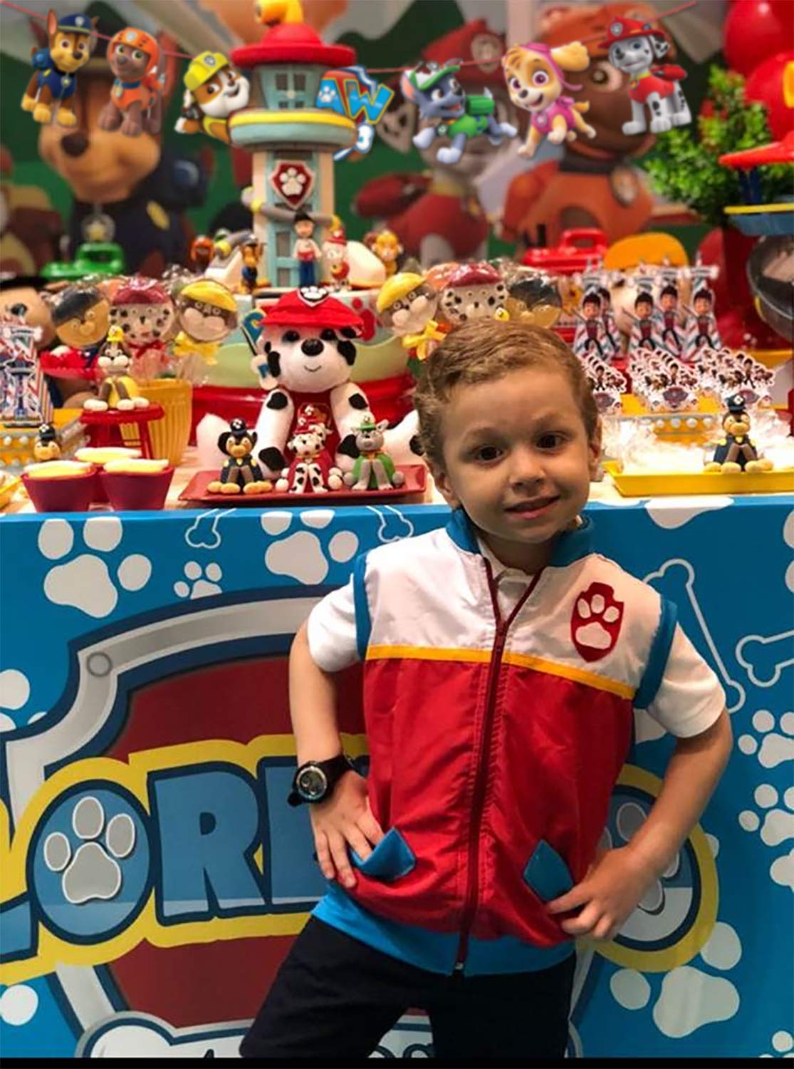 Buy Party Propz Paw Patrol Character Banner for Paw Patrol Birthday ...