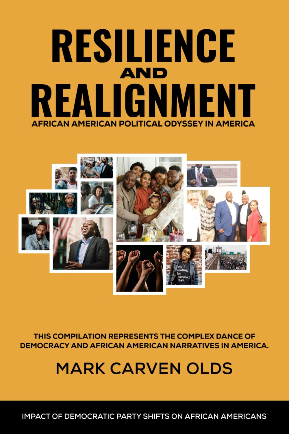 Resilience and Realignment: African American Political Odyssey in ...
