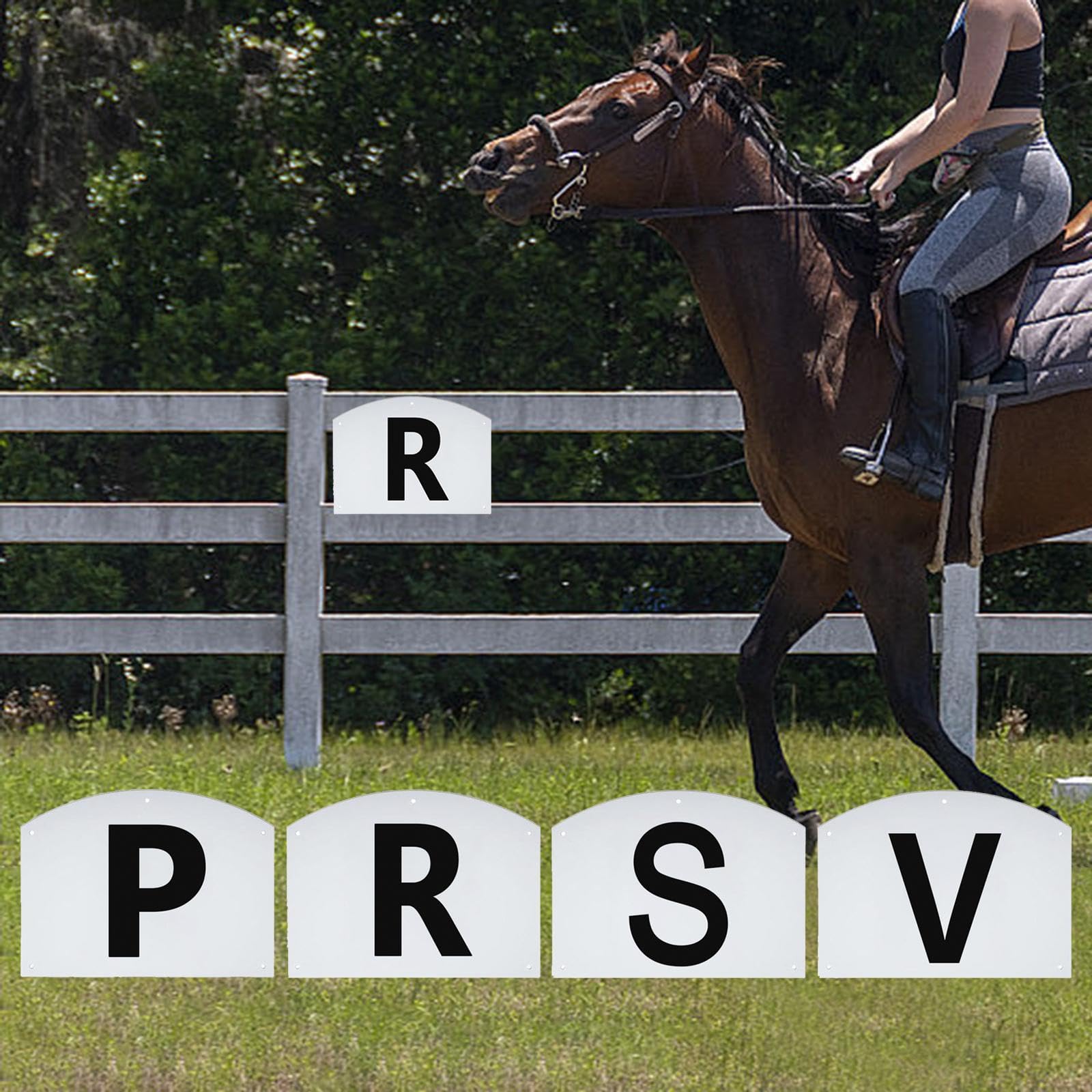 Arena Diagram 8pcs Wall Mount Dressage Arena Markers Dressage Letters