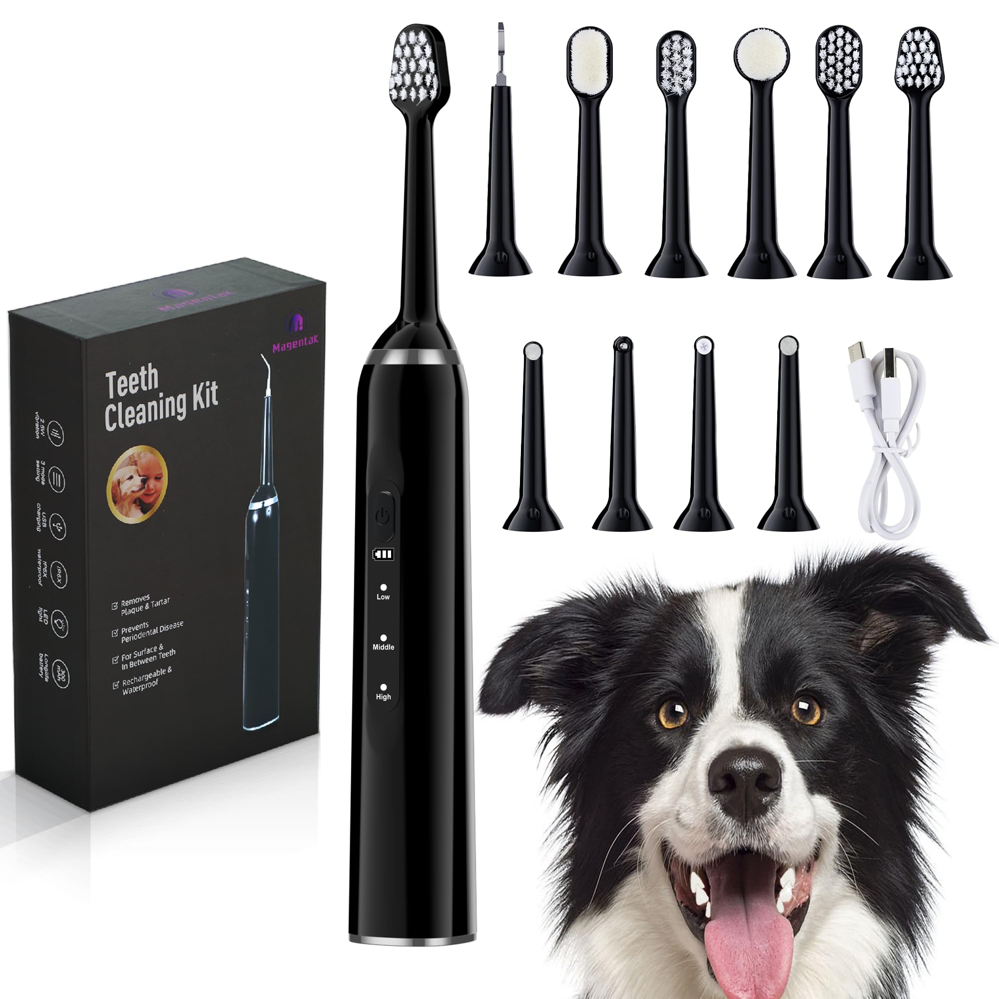 Amazon.com: Magentak Dog Teeth Cleaning Kit, Sonic Electric Toothbrush ...