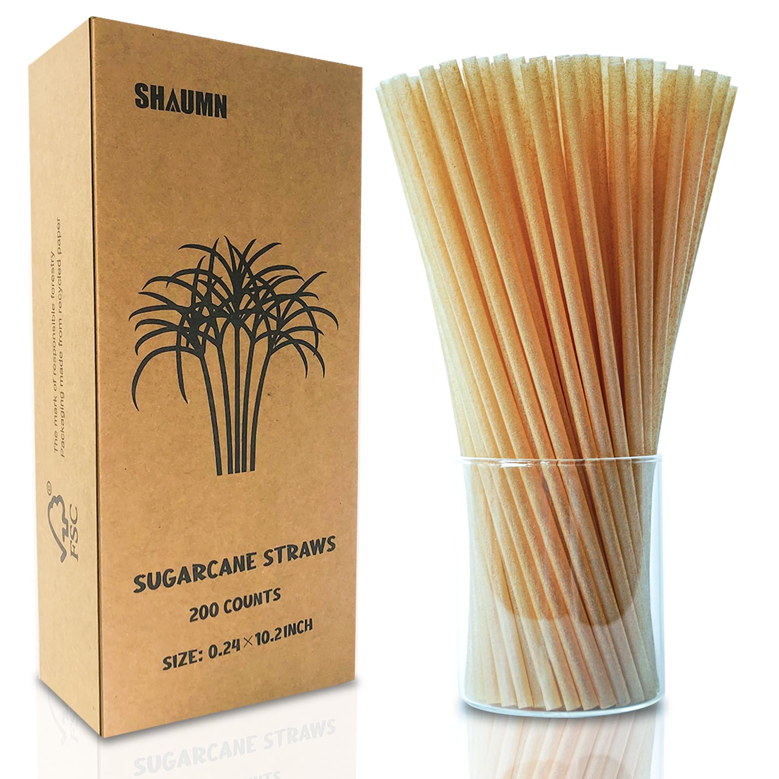 Amazon.com: Biodegradable Sugarcane Straws 10.2 Inch Long Compostable ...