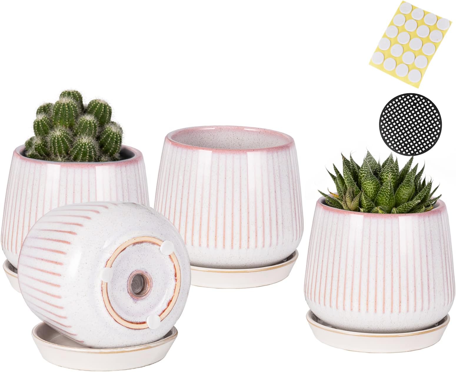 Amazon.com: BABALIU 3.5 Inch Ceramic Succulent Planter Pots with ...