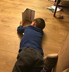 Amazon.com: Go, Dog. Go!: 9780394900209: P. D. Eastman: Books