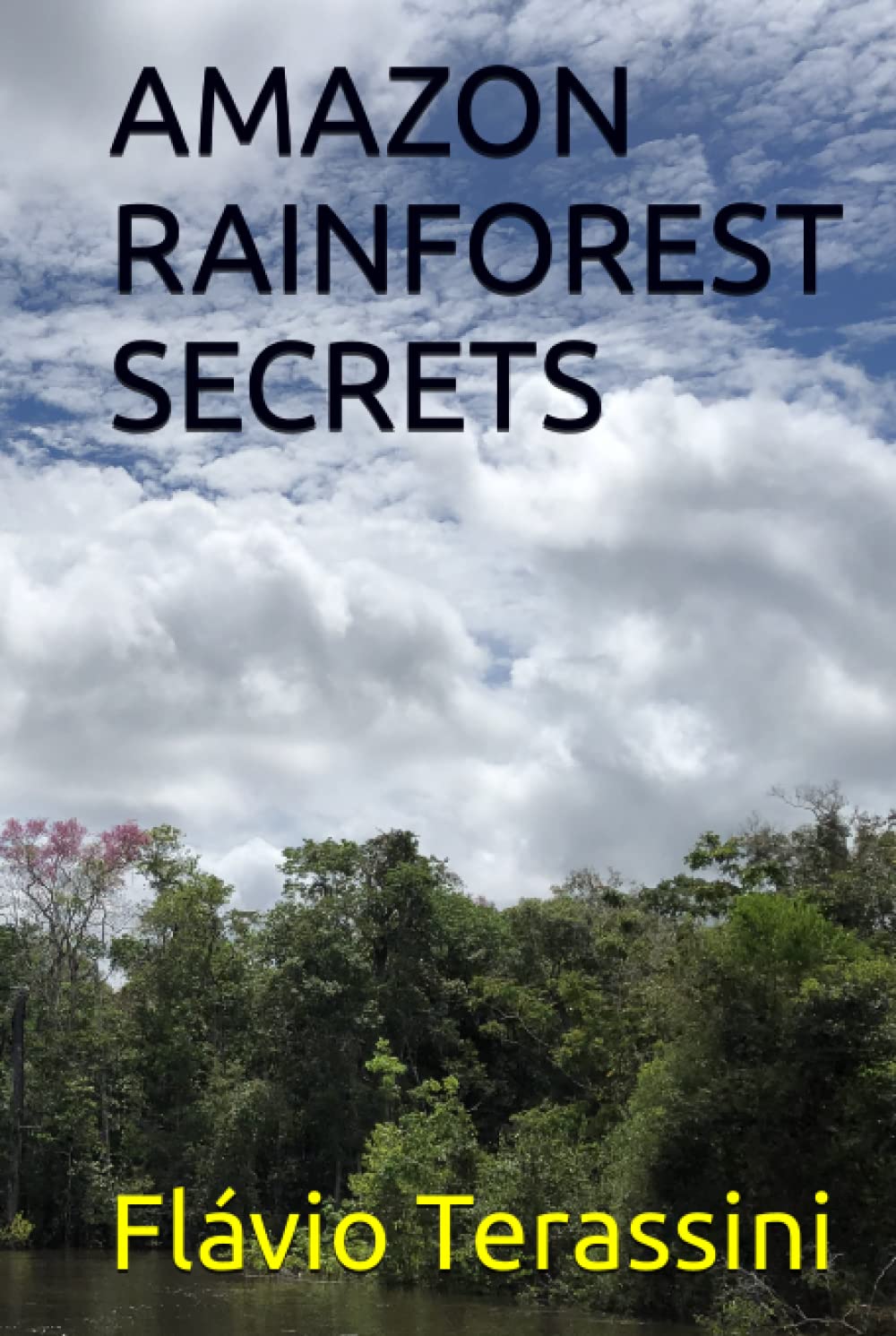 AMAZON RAINFOREST SECRETS: Terassini, Flávio Aparecido: 9786500062335 ...