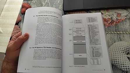 Practical Binary Analysis: Build Your Own Linux Tools for Binary Instrumentation, Analysis, and ...
