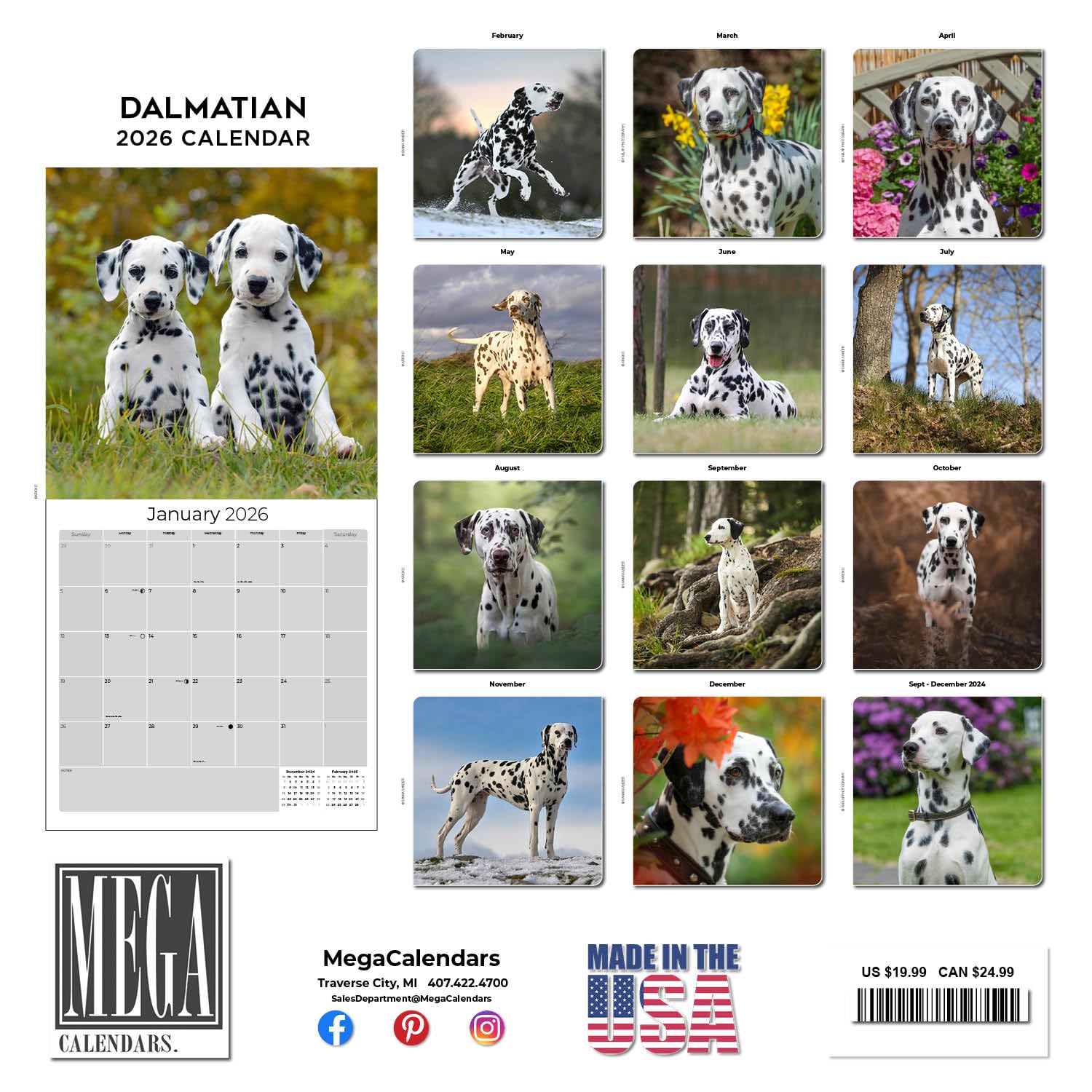 Snapklik.com : 2025 2026 Dalmatian Calendar - Dog Breed Monthly Wall ...