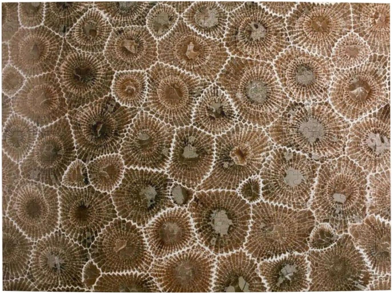 Amazon.com: FHDA Petoskey Stone 500 Pieces Jigsaw Puzzle for ...